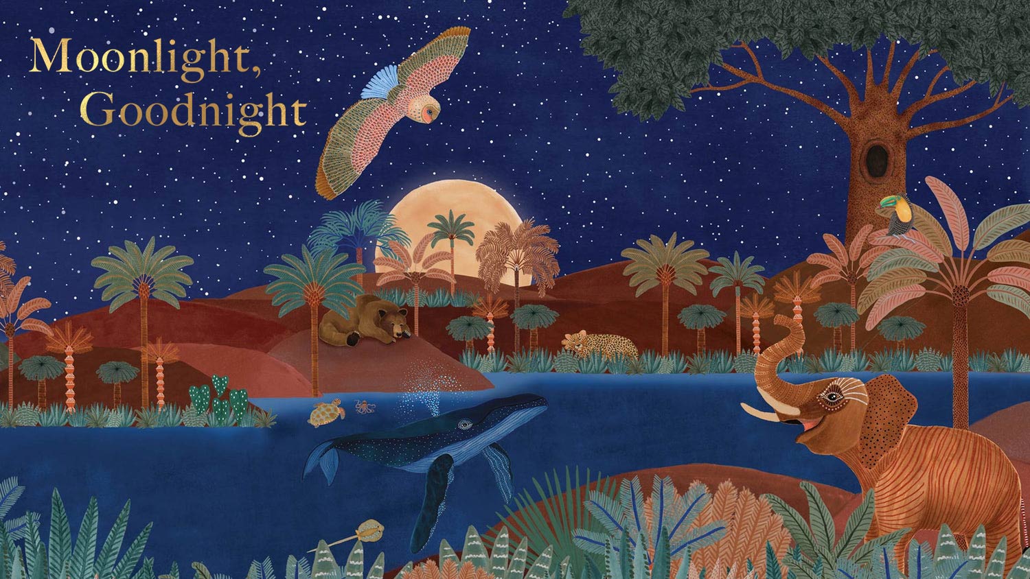 Moonlight Goodnight Hard Cover Book | Karina Jambrak