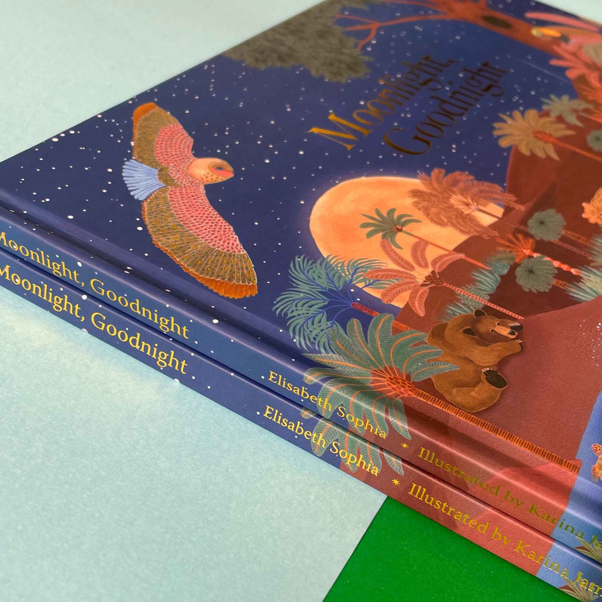 Moonlight Goodnight Book | Karina Jambrak